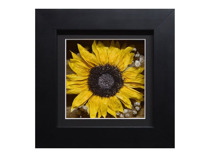 Preserved Flower Shadow Boxes | Fantastic Blooms
