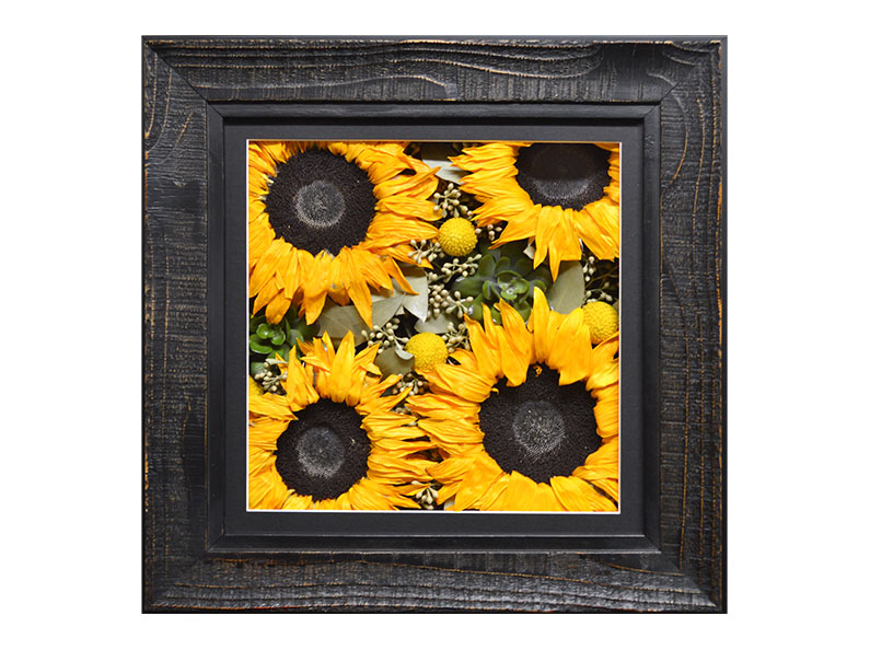 Preserved Flower Shadow Boxes | Fantastic Blooms