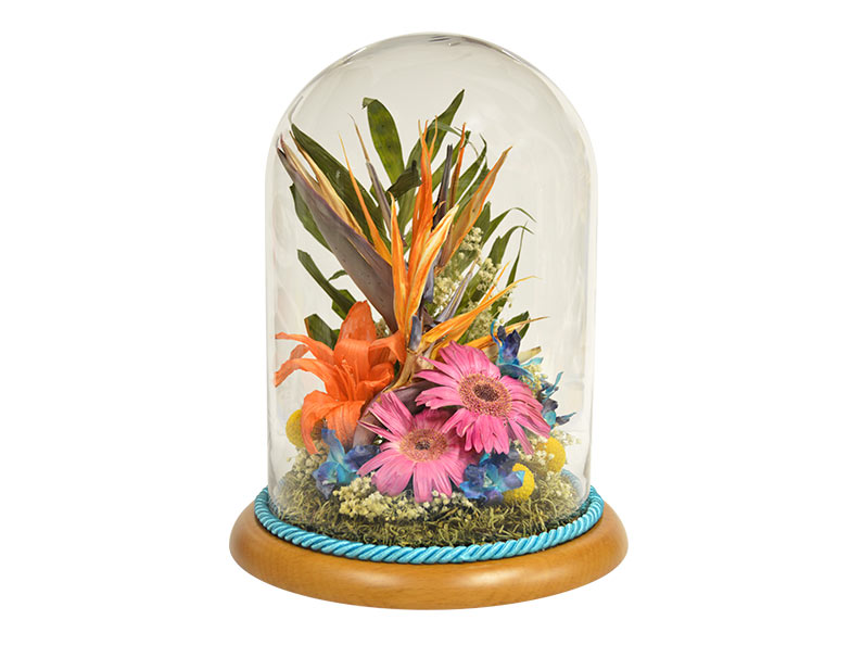 Preserved Flower Glass Encasements | Fantastic Blooms